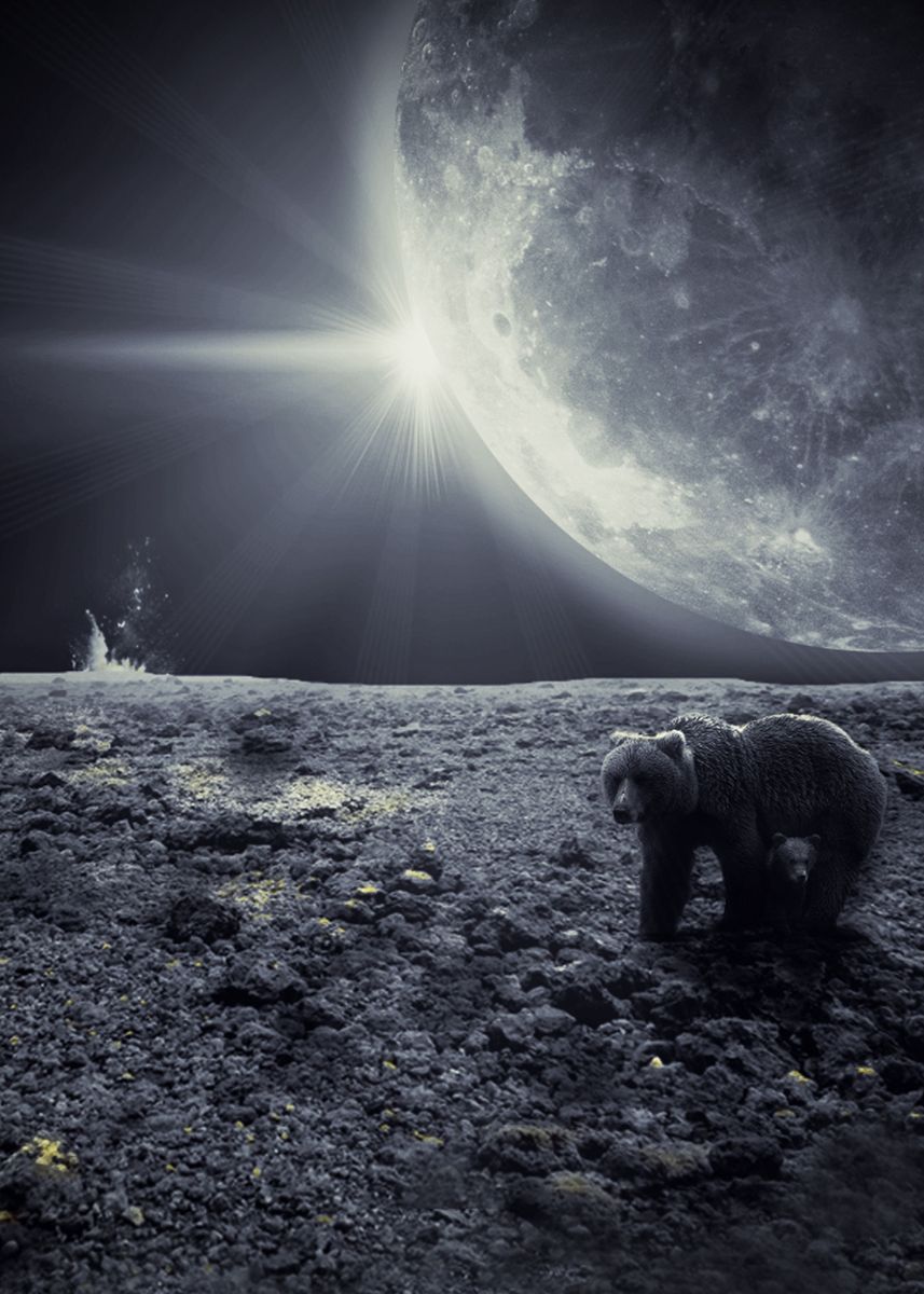 'Bear Moon ' Poster, picture, metal print, paint by ...