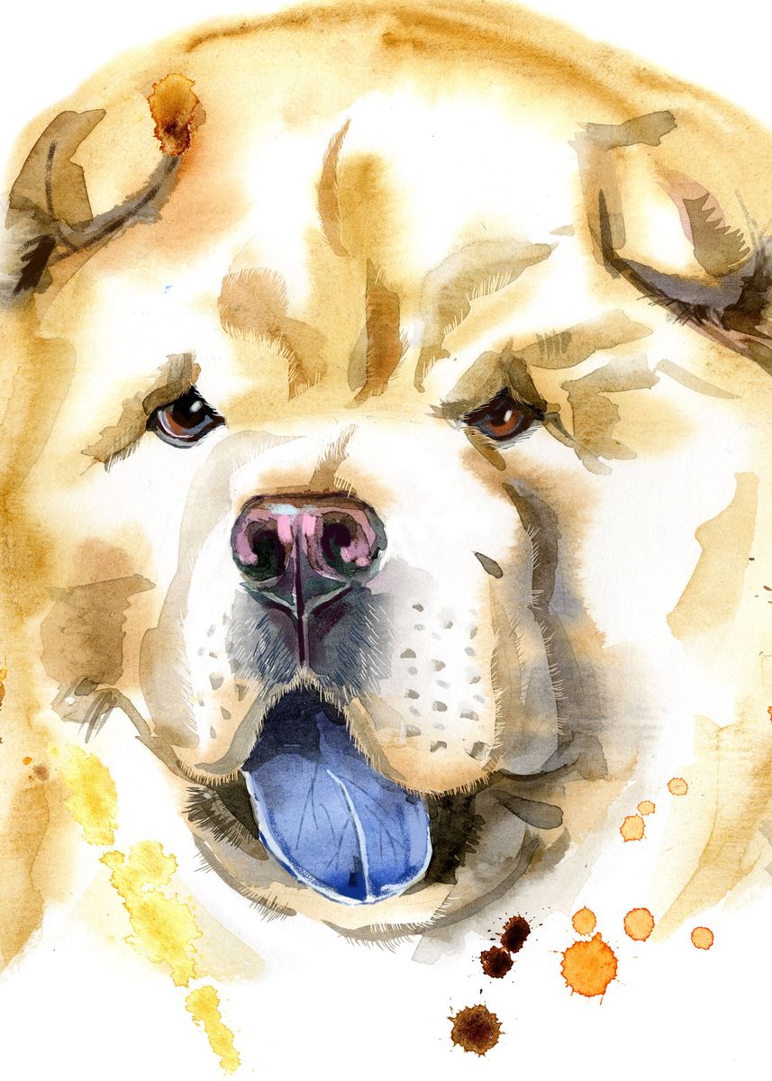 'CHOW CHOW DOG WATERCOLOR' Poster, picture, metal print, paint by Turie ...