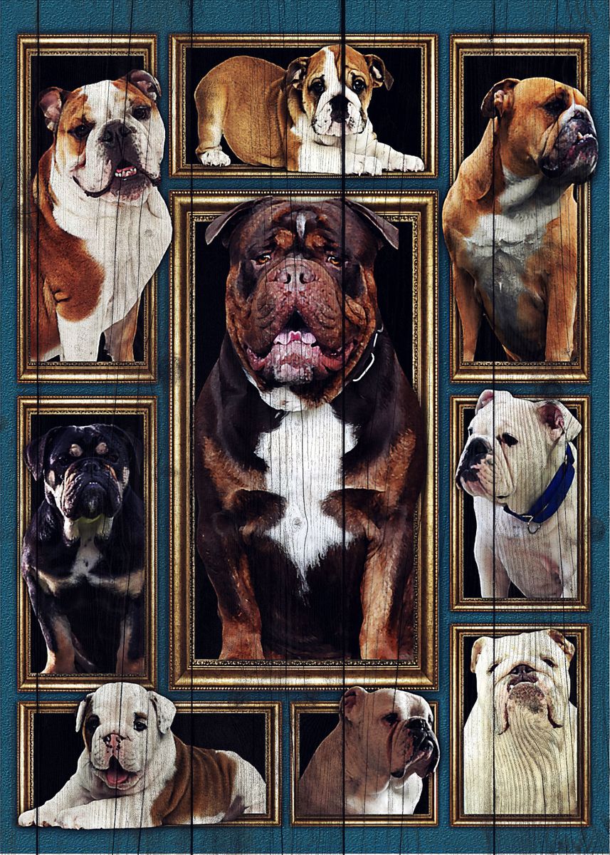 'Bulldog' Poster by Nick Cournoyer | Displate