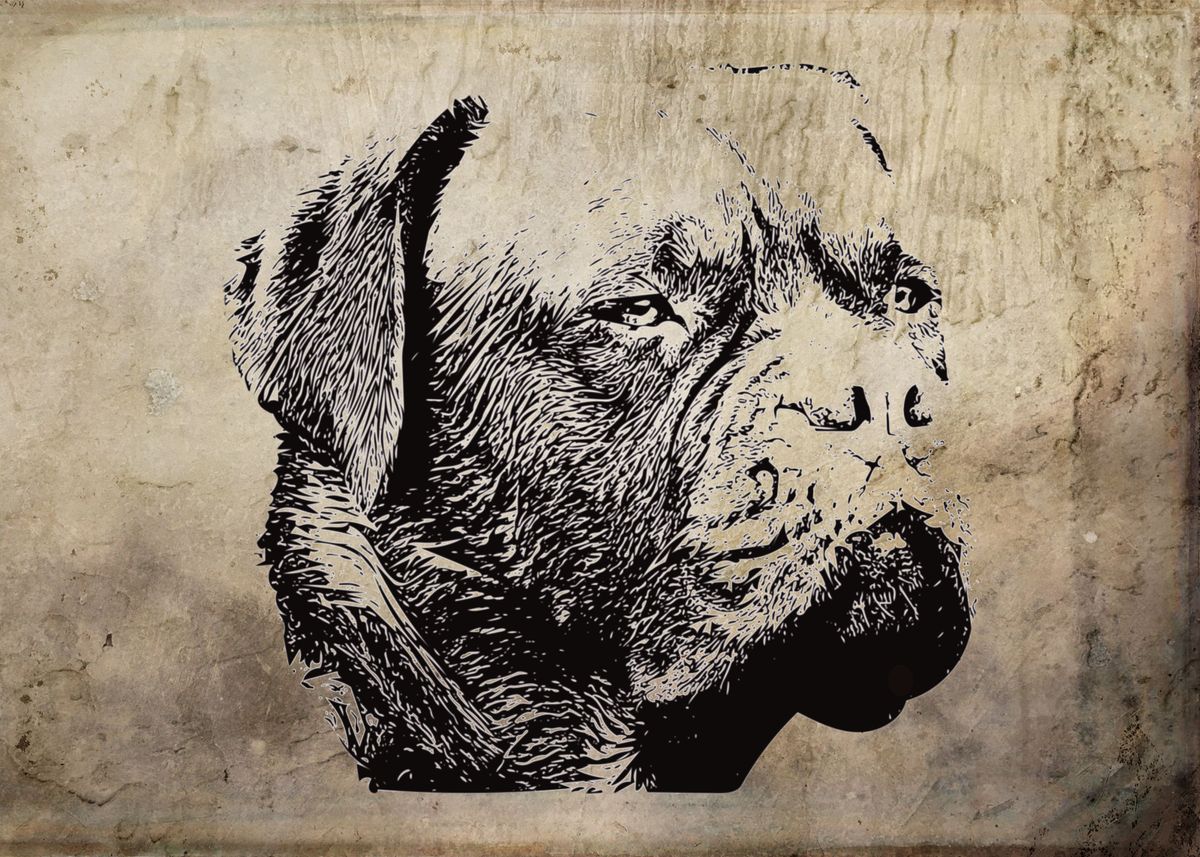 'Dogue de Bordeaux' Poster by Pedigree Prints | Displate