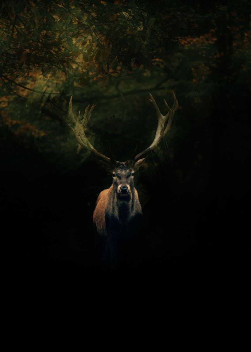 'Dark Moose in Nature' Poster by Isaac Jacobi | Displate