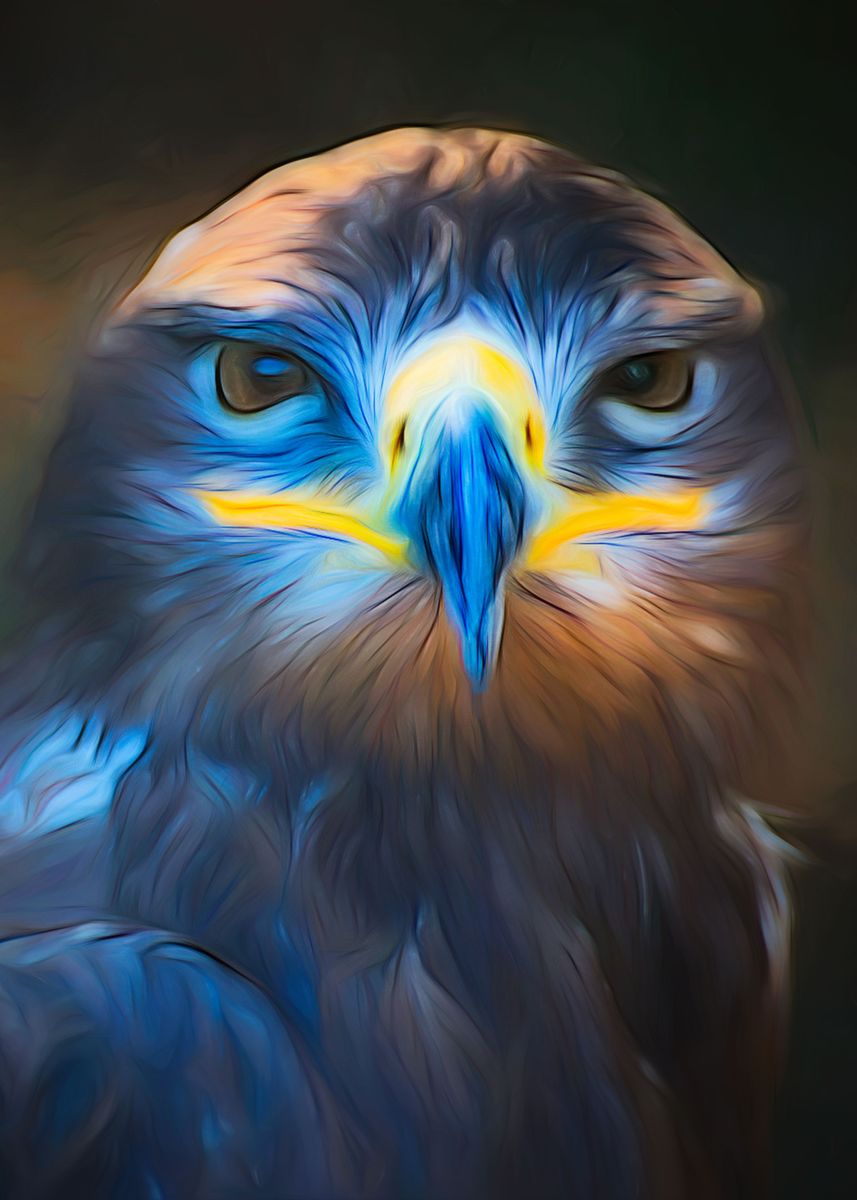 'Hawk' Poster, picture, metal print, paint by Armstrong | Displate