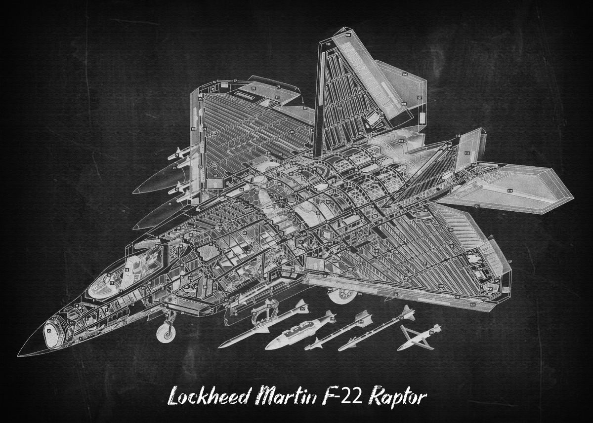 'Lockheed Martin F22 Rapto' Poster by MICHAEL BRUNS PLATES | Displate