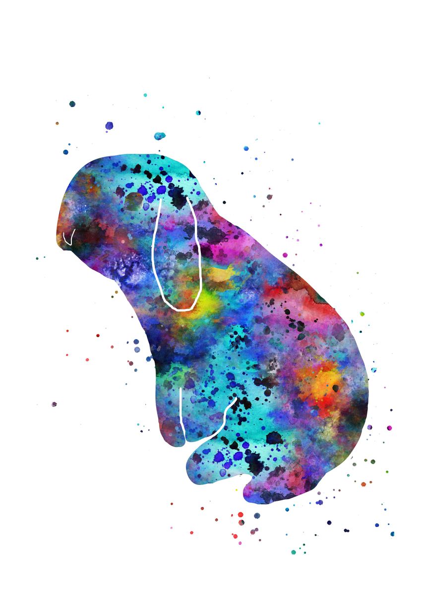 'Holland lop rabbit ' Poster, picture, metal print, paint by ...