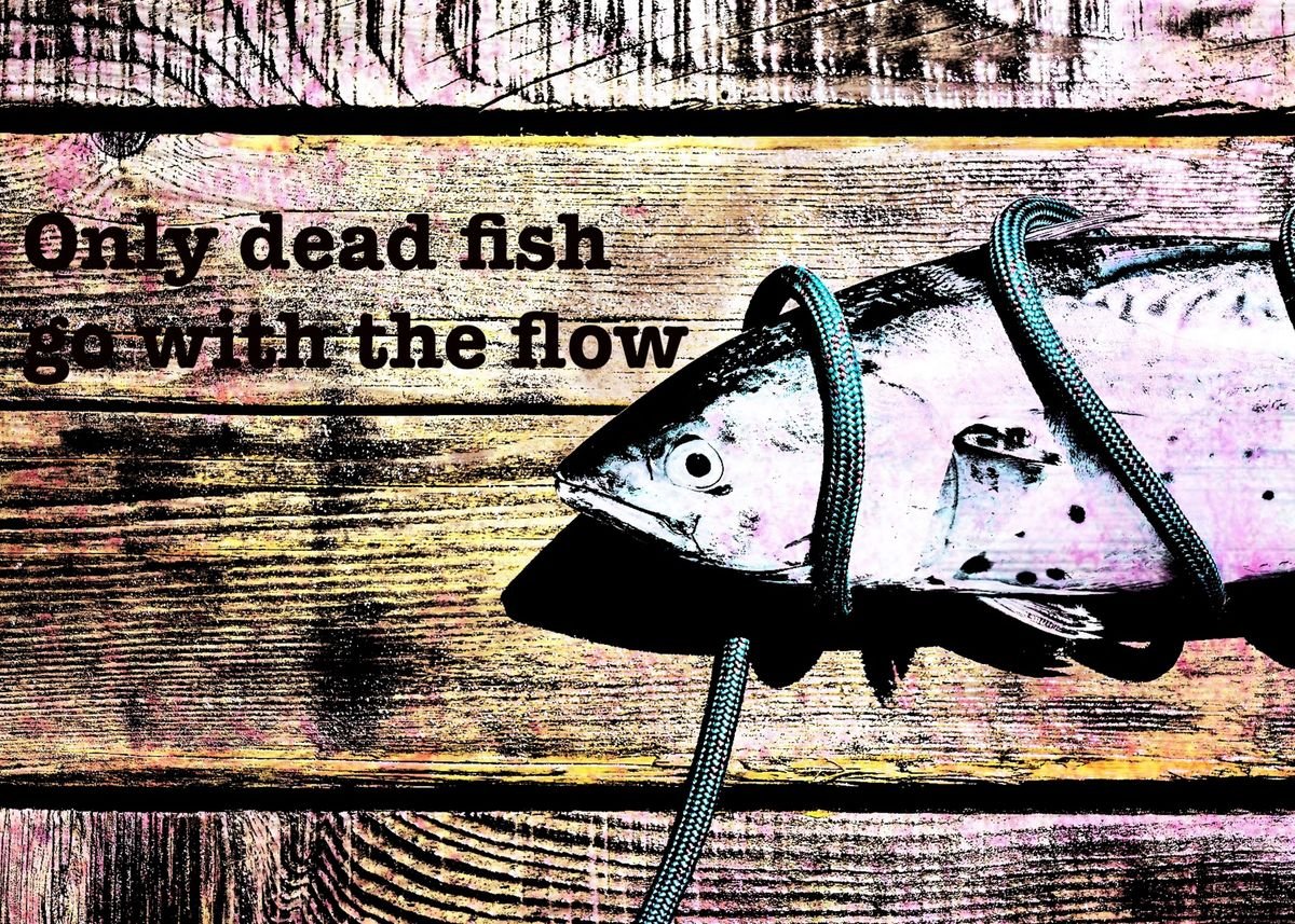 'Only Dead Fish' Poster by Rob Burton | Displate