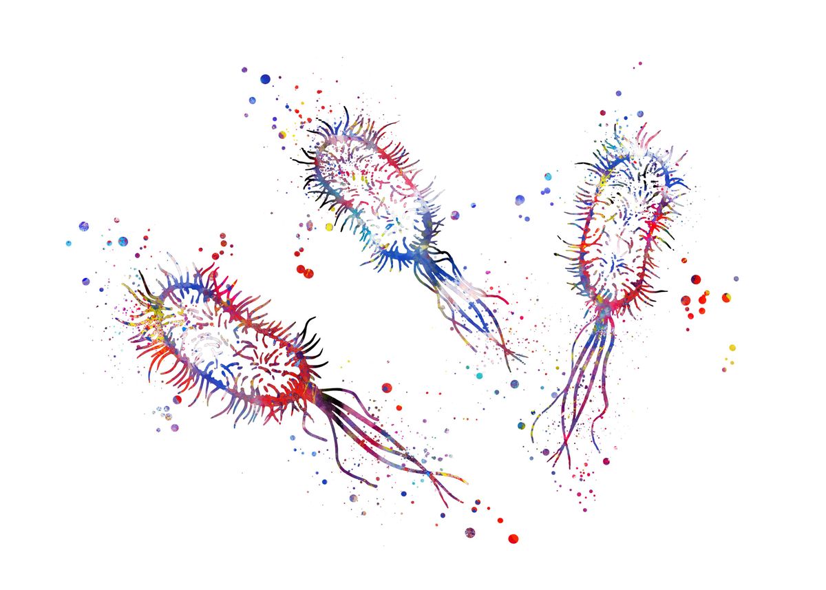 'Escherichia coli ' Poster by RosaliasArt | Displate