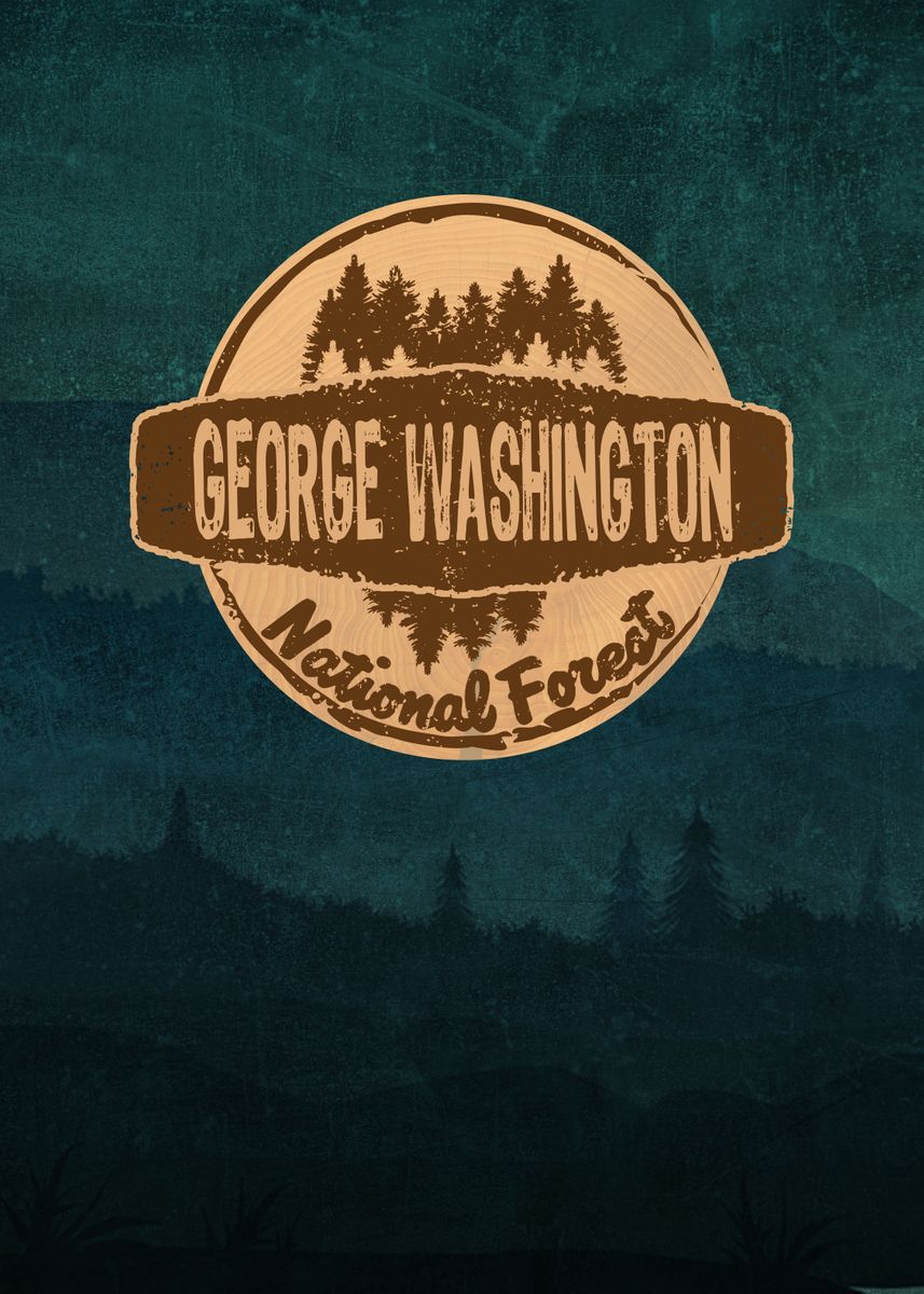 'George Washington' Poster, picture, metal print, paint by osmik | Displate