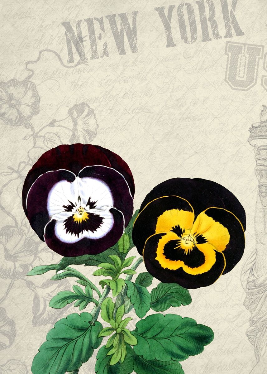 'Viola flowers' Poster by Juliana RW | Displate