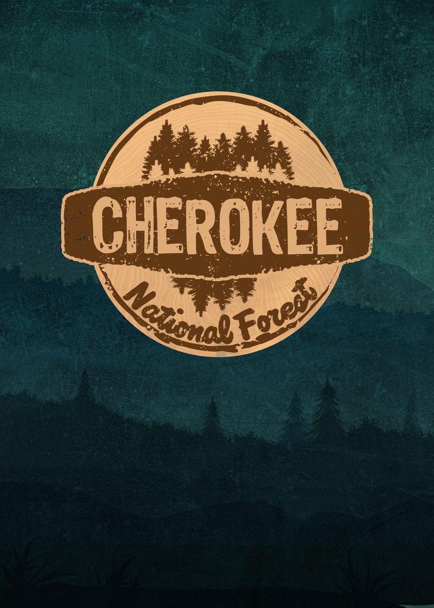 'Cherokee' Poster, picture, metal print, paint by osmik | Displate