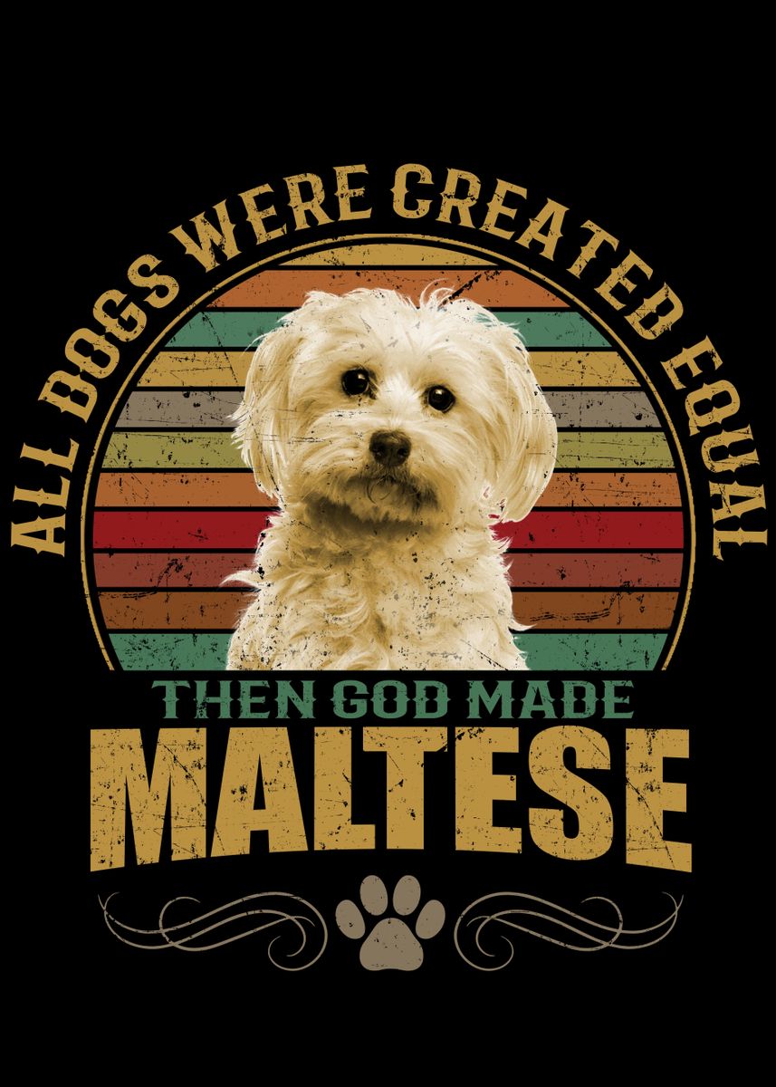 'Maltese' Poster, picture, metal print, paint by ML Arts | Displate