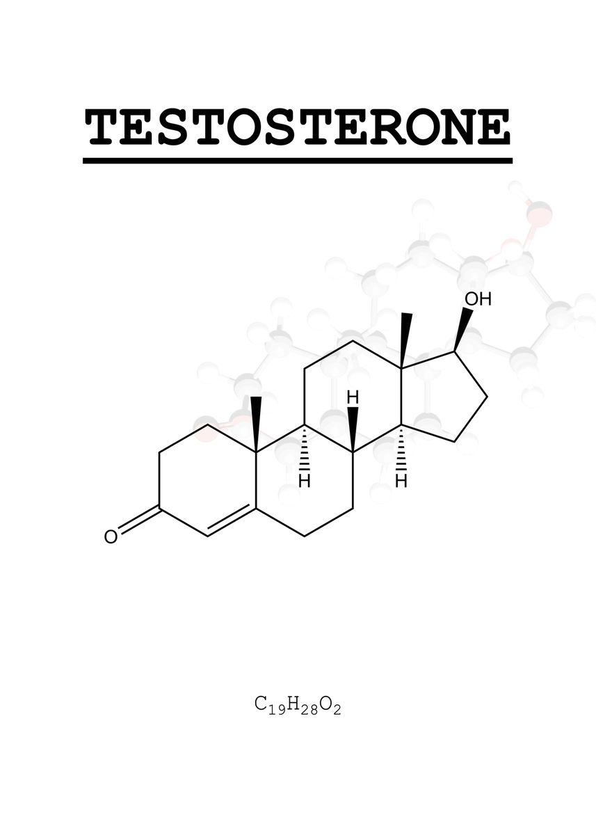 'Testosterone' Poster, picture, metal print, paint by ChemECool | Displate