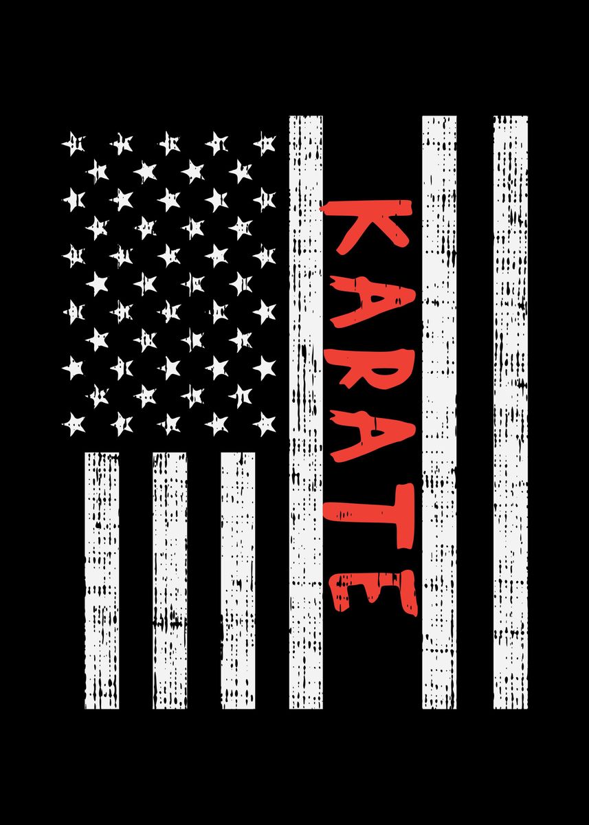 'US Flag Karate' Poster, picture, metal print, paint by BoredKoalas ...