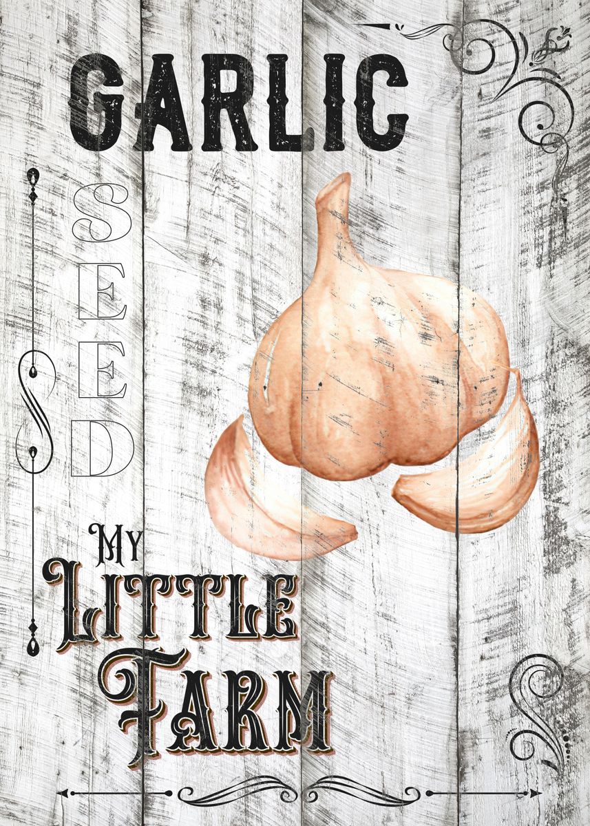'Garlic' Poster by Manuel Garcia | Displate