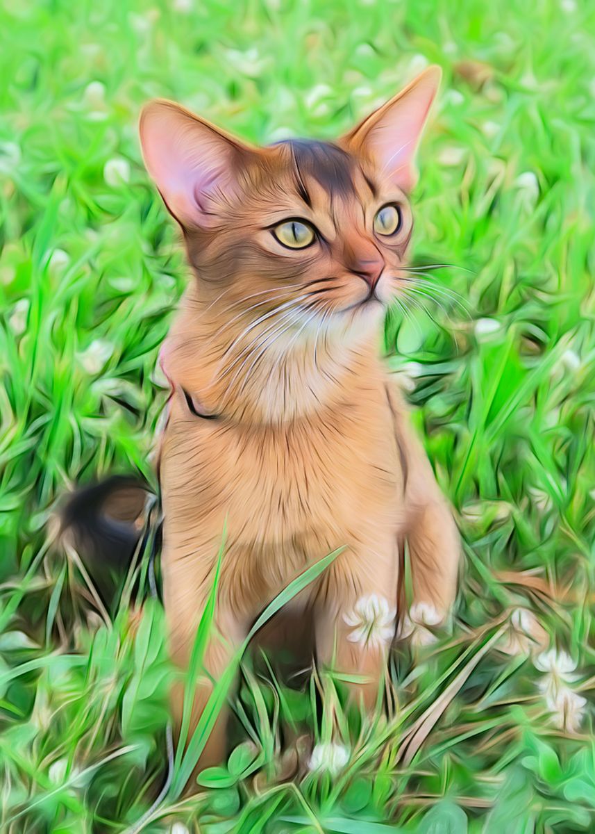 'Abyssinian Cat' Poster, picture, metal print, paint by Armstrong ...
