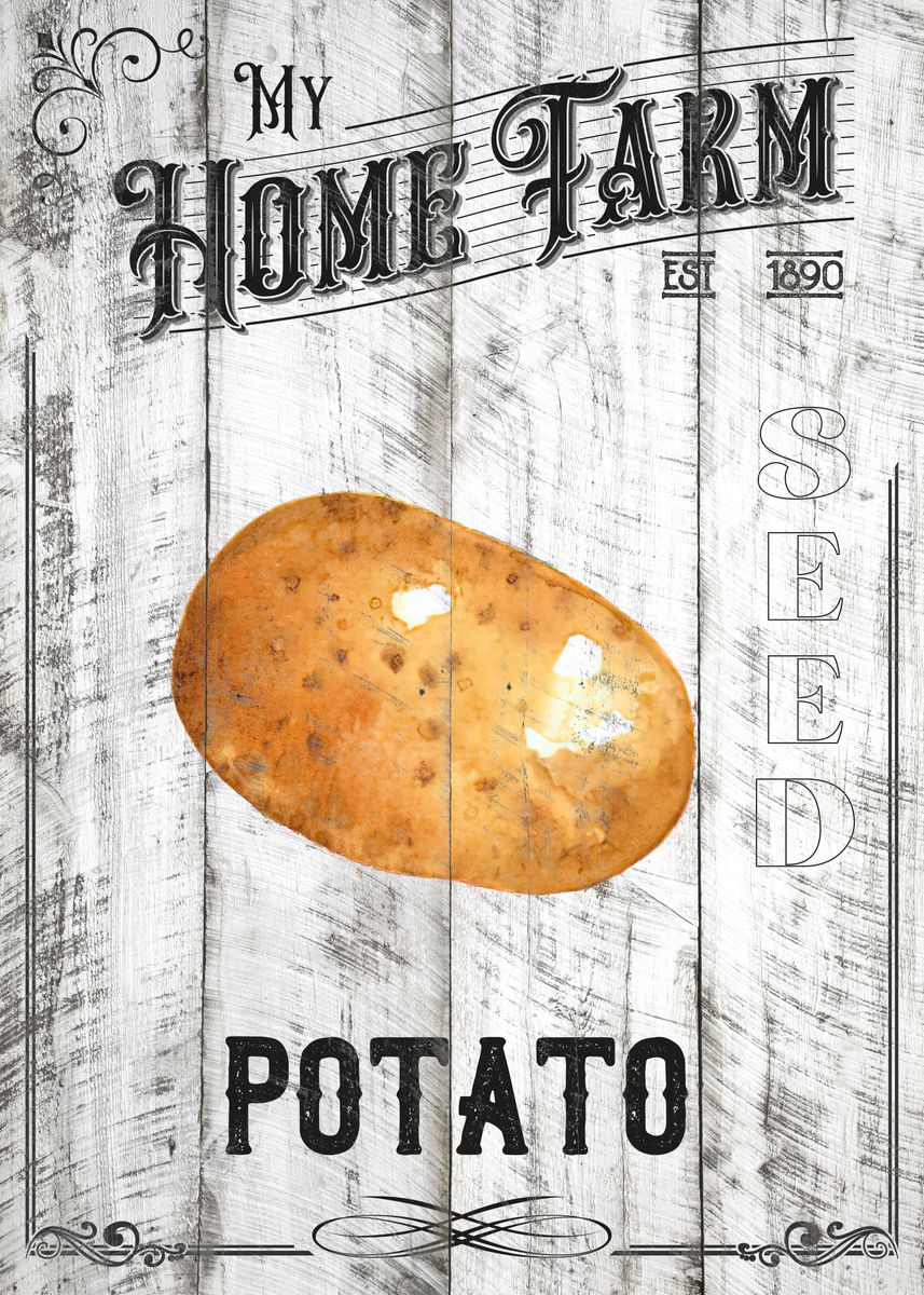 'Potato' Poster, picture, metal print, paint by Manuel Garcia | Displate