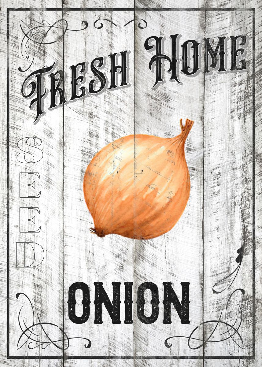'Onion' Poster, picture, metal print, paint by Manuel Garcia | Displate