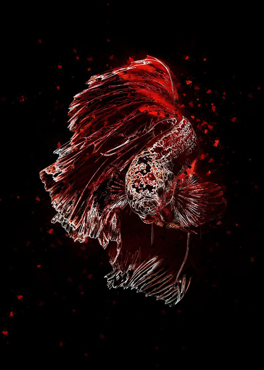 'Colorful Betta' Poster by Blackman Studio | Displate