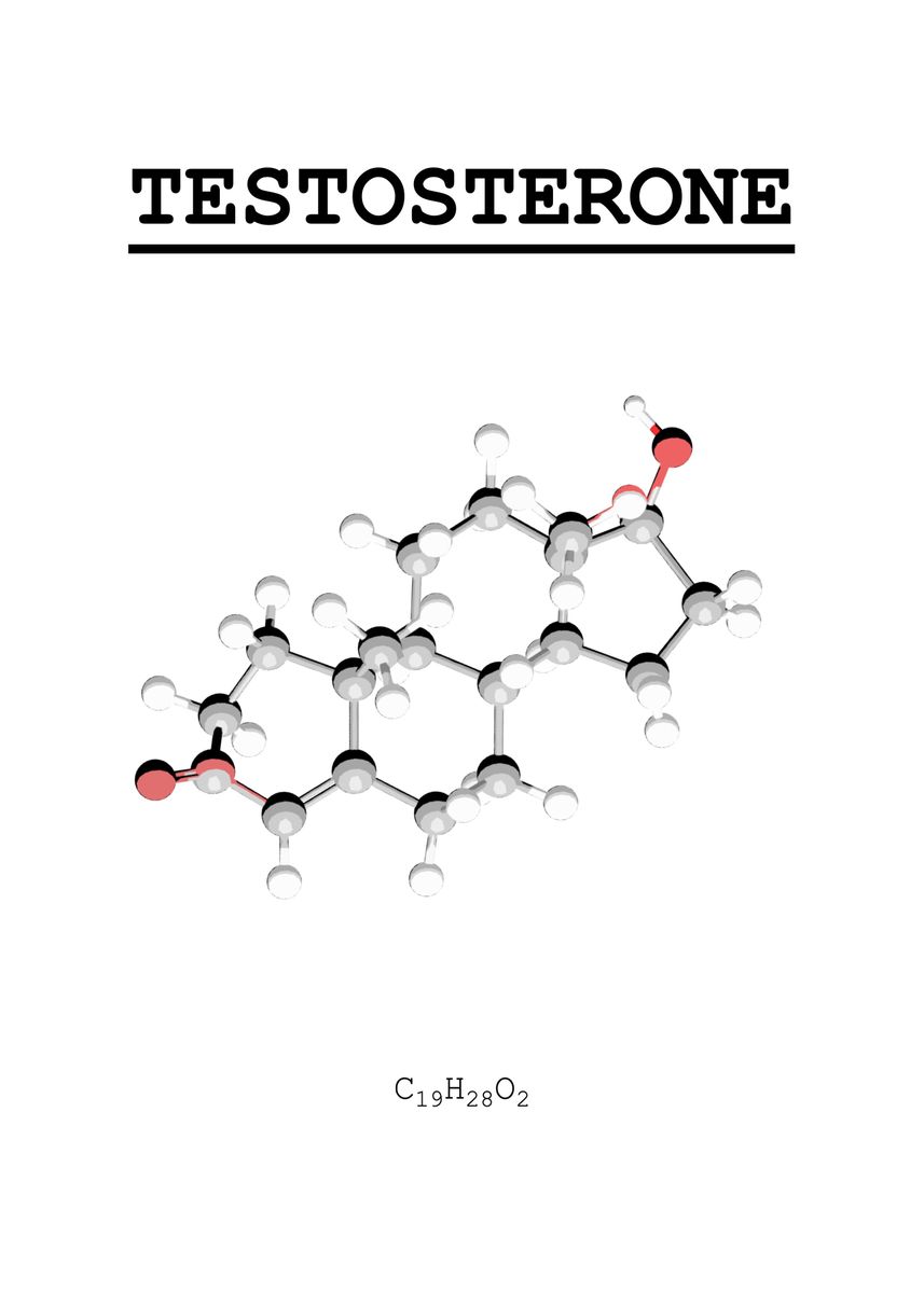 'Testosterone' Poster, picture, metal print, paint by ChemECool | Displate