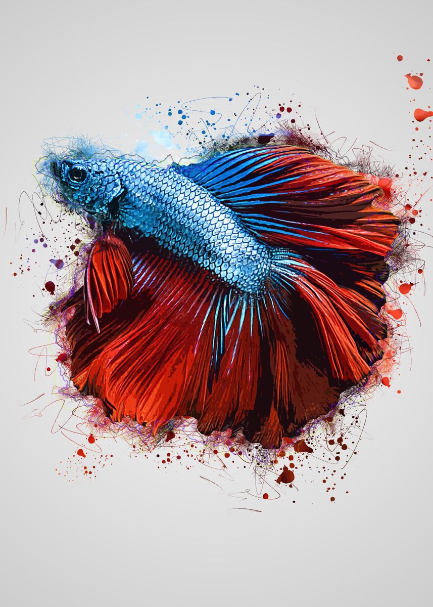 'Betta Fish' Poster by Blackman Studio | Displate