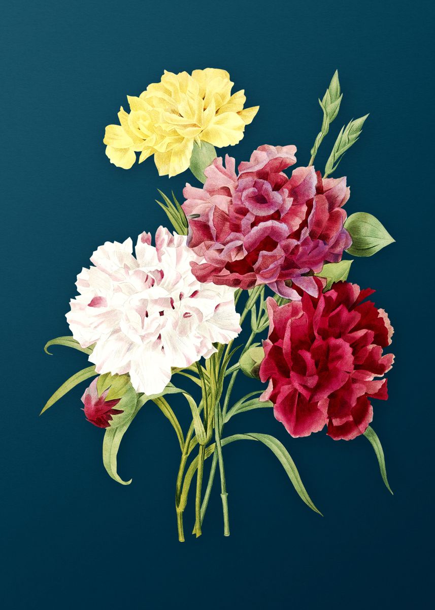 'Carnation on Teal' Poster, picture, metal print, paint by Holy Rock ...