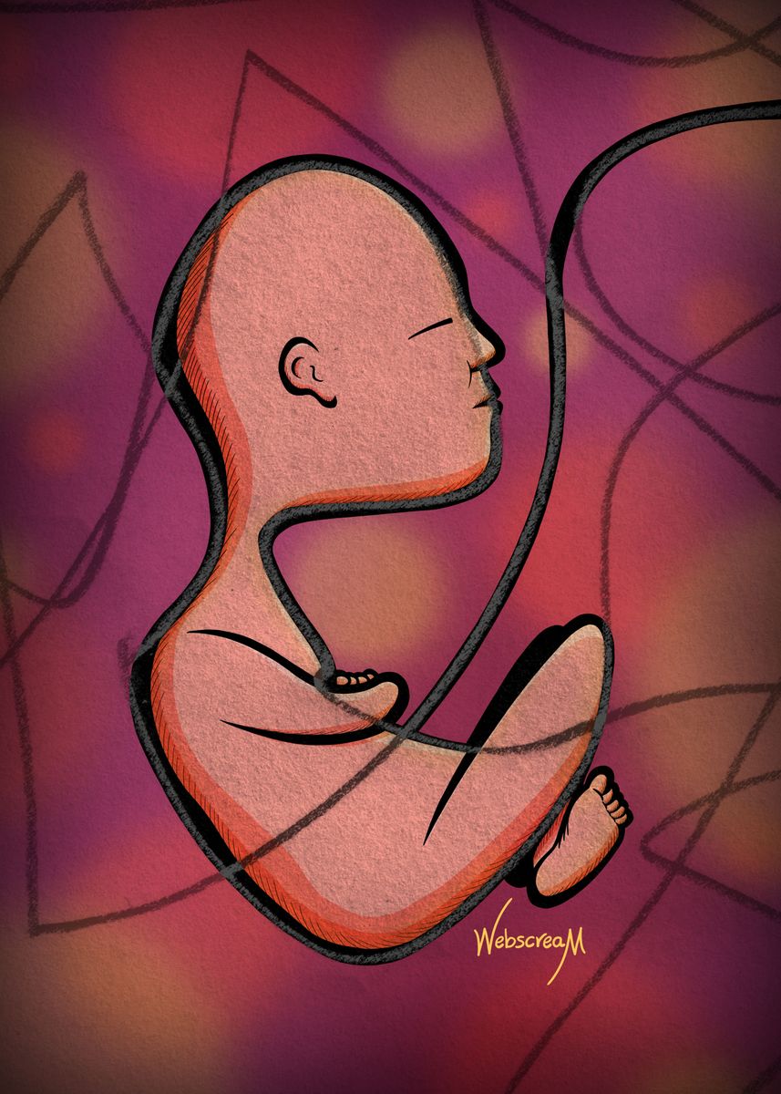 'The Fetus' Poster, picture, metal print, paint by Webscream | Displate
