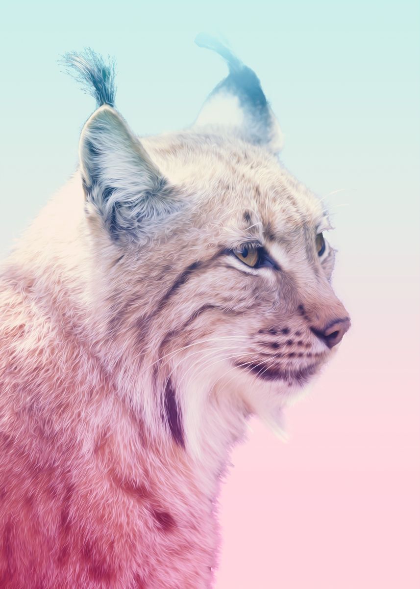 'lynx wild cat' Poster by SplashDesign | Displate