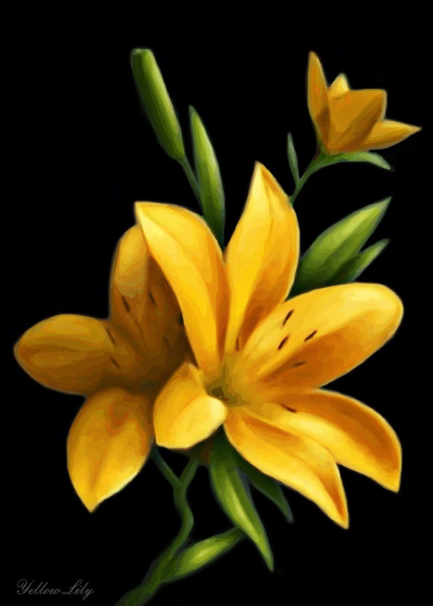 'Beautiful Flower' Poster, picture, metal print, paint by Bintang ...