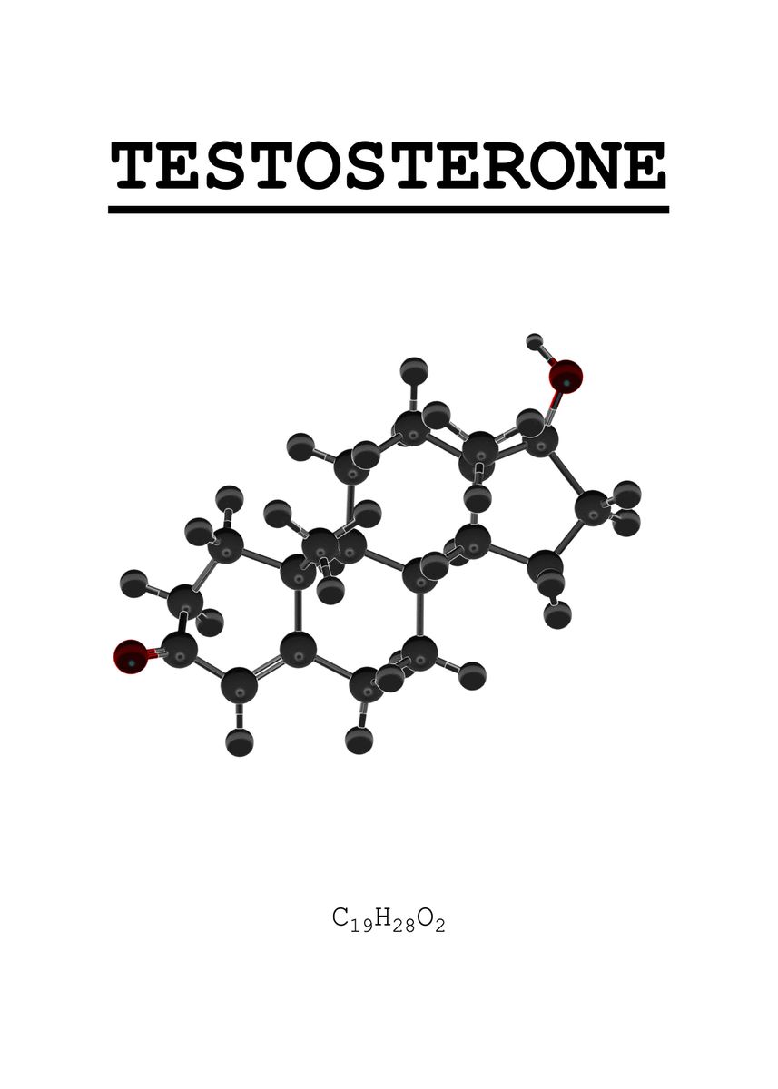 'Testosterone' Poster, picture, metal print, paint by ChemECool | Displate