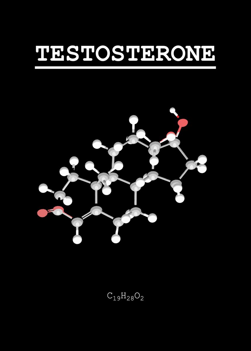 'Testosterone' Poster, picture, metal print, paint by ChemECool | Displate