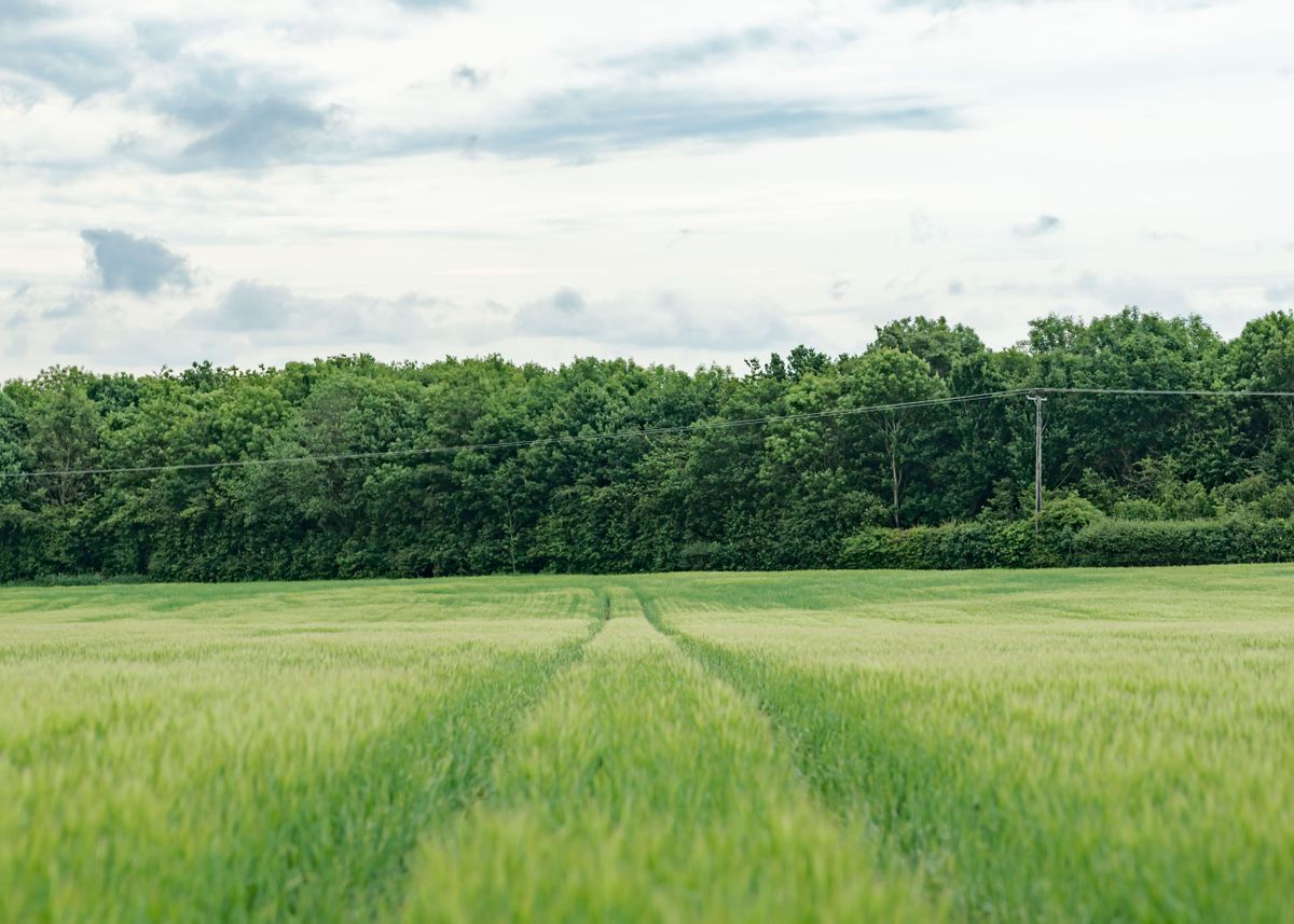 'Farm Lines' Poster by Tomcwillmott | Displate