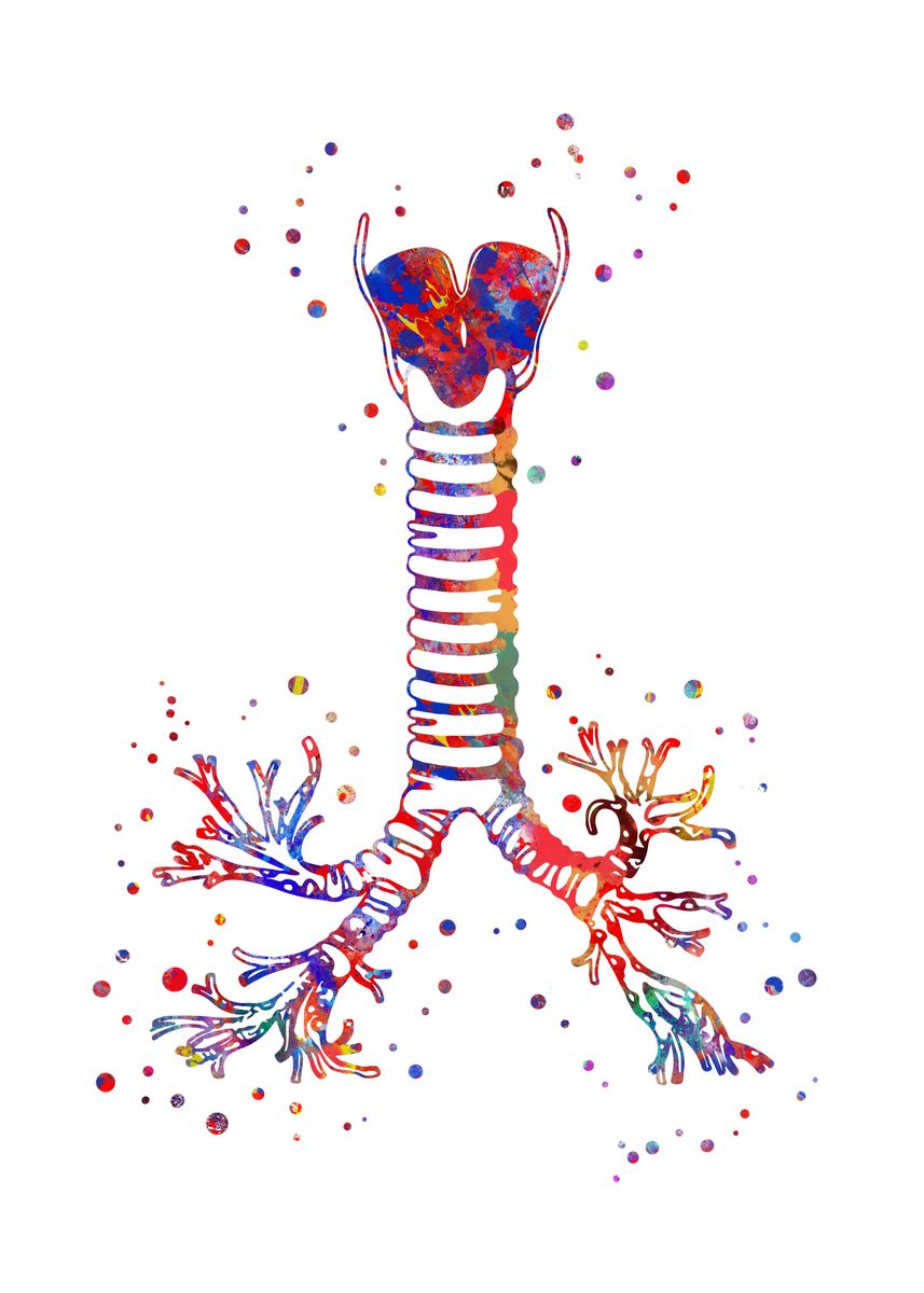 'Windpipe ' Poster, picture, metal print, paint by RosaliasArt | Displate