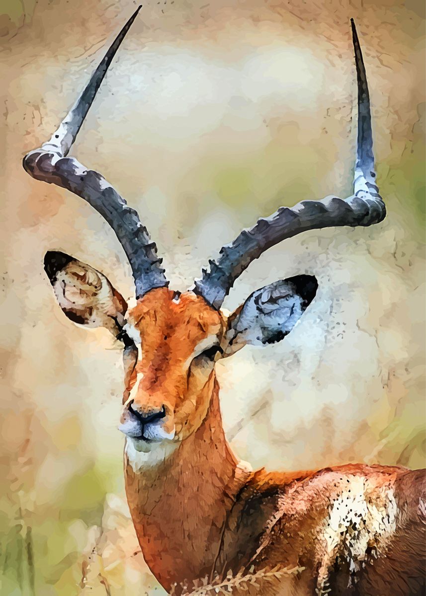 'Antelopes Gaze' Poster, picture, metal print, paint by Geny Apol ...