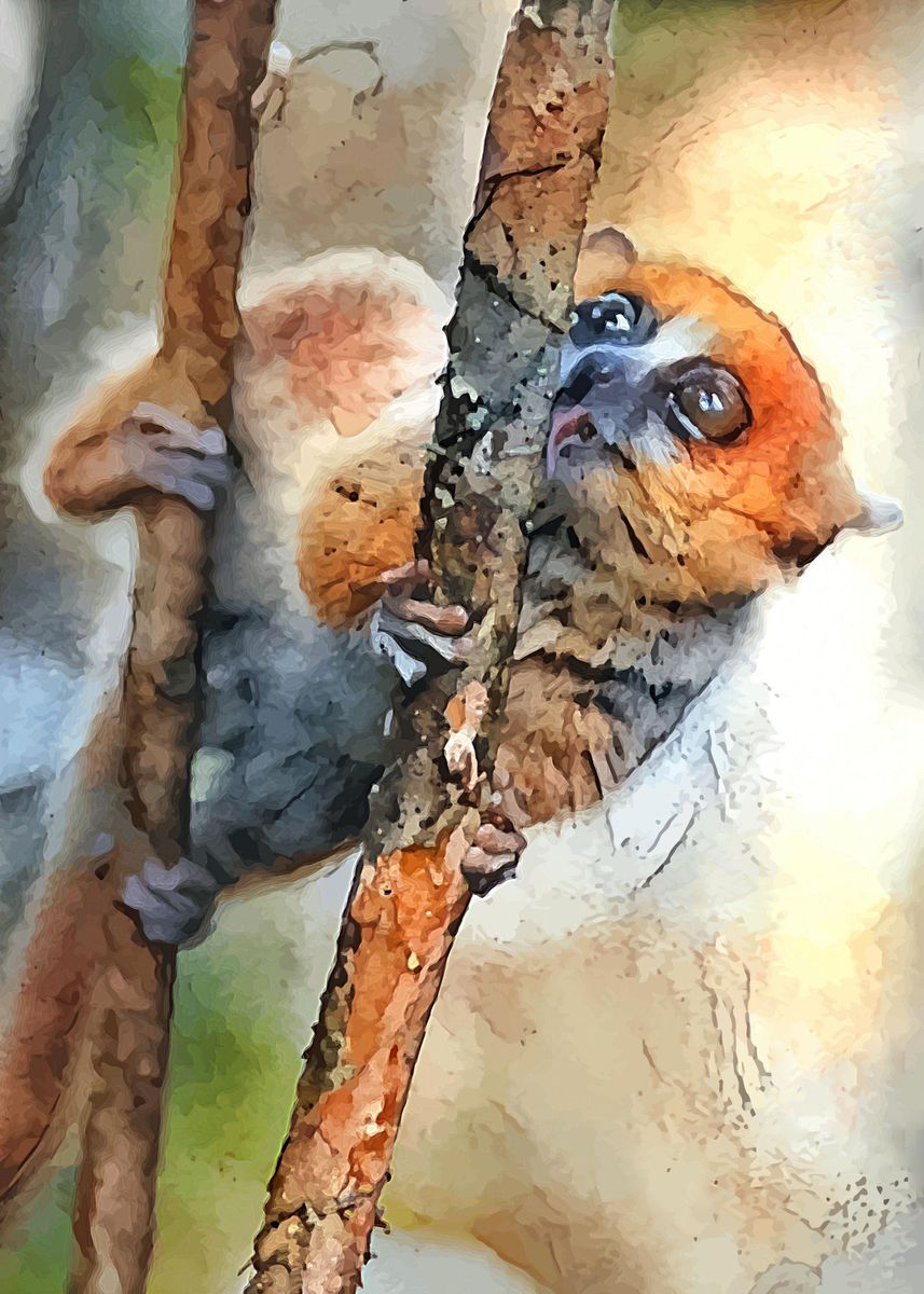 'Mouse Lemurs' Poster, picture, metal print, paint by Geny Apol | Displate