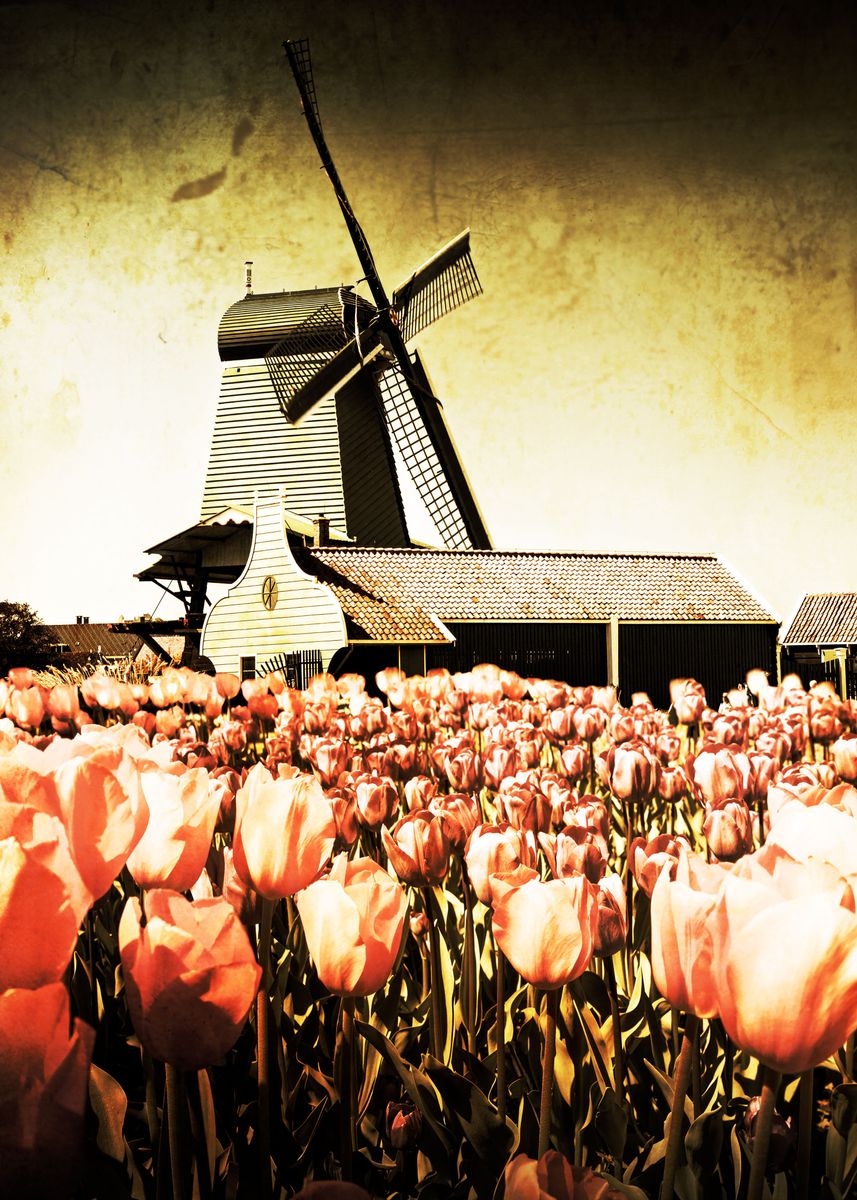 'windmill' Poster, picture, metal print, paint by Luca Santilli | Displate