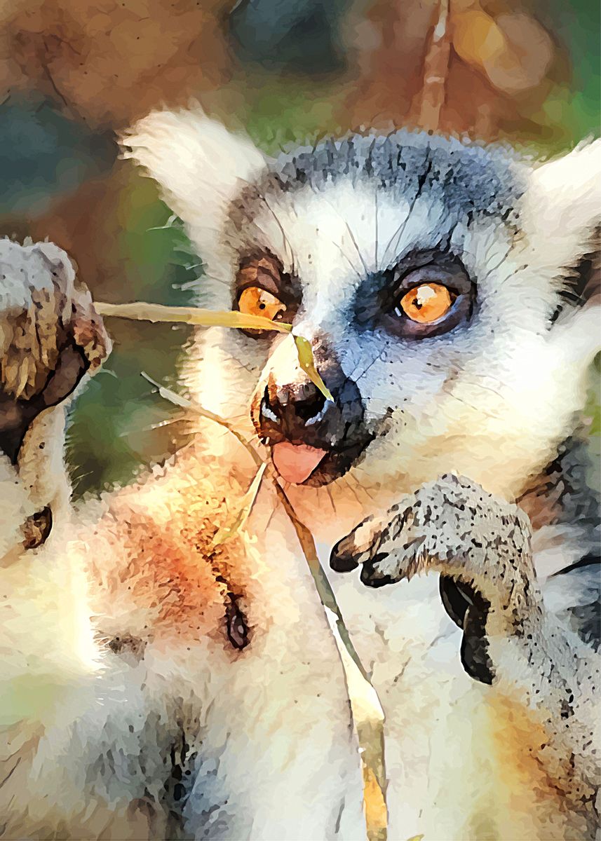 'Lemur' Poster, picture, metal print, paint by Geny Apol | Displate