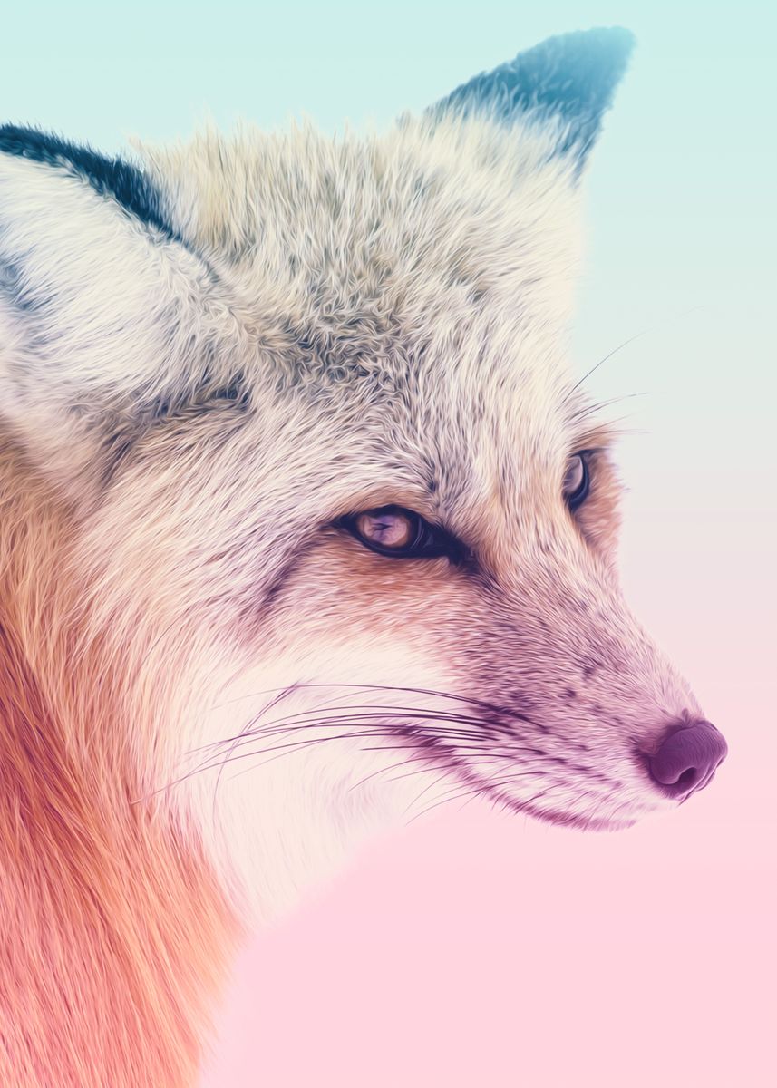 'fox' Poster by SplashDesign | Displate