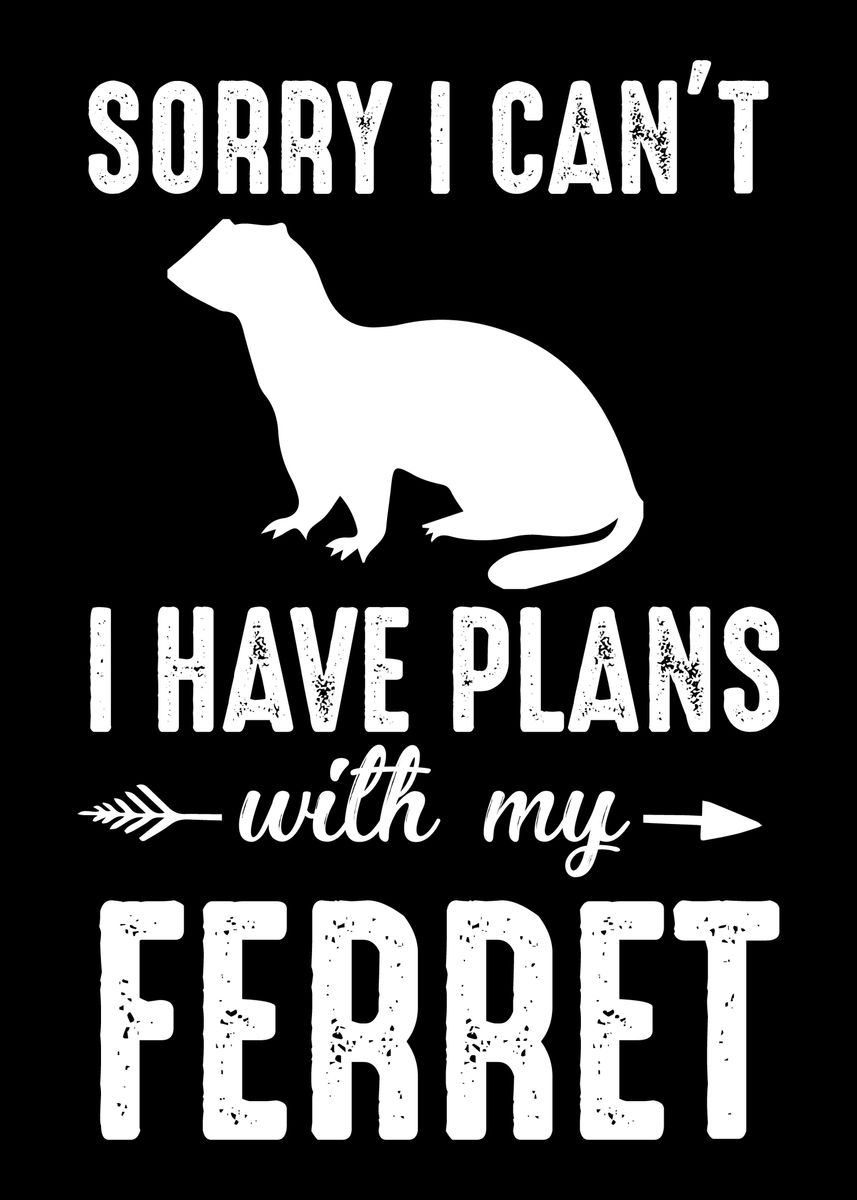 'Ferret' Poster, picture, metal print, paint by Stefanie Herrmann ...