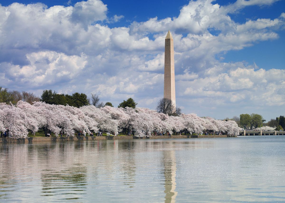 'Washington Monument' Poster by tony4urban | Displate