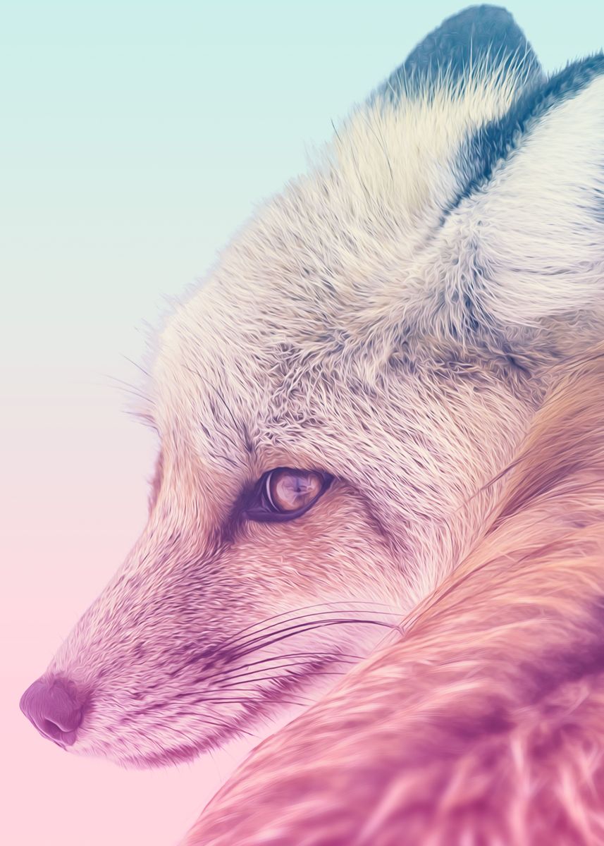 'fox' Poster, picture, metal print, paint by SplashDesign | Displate