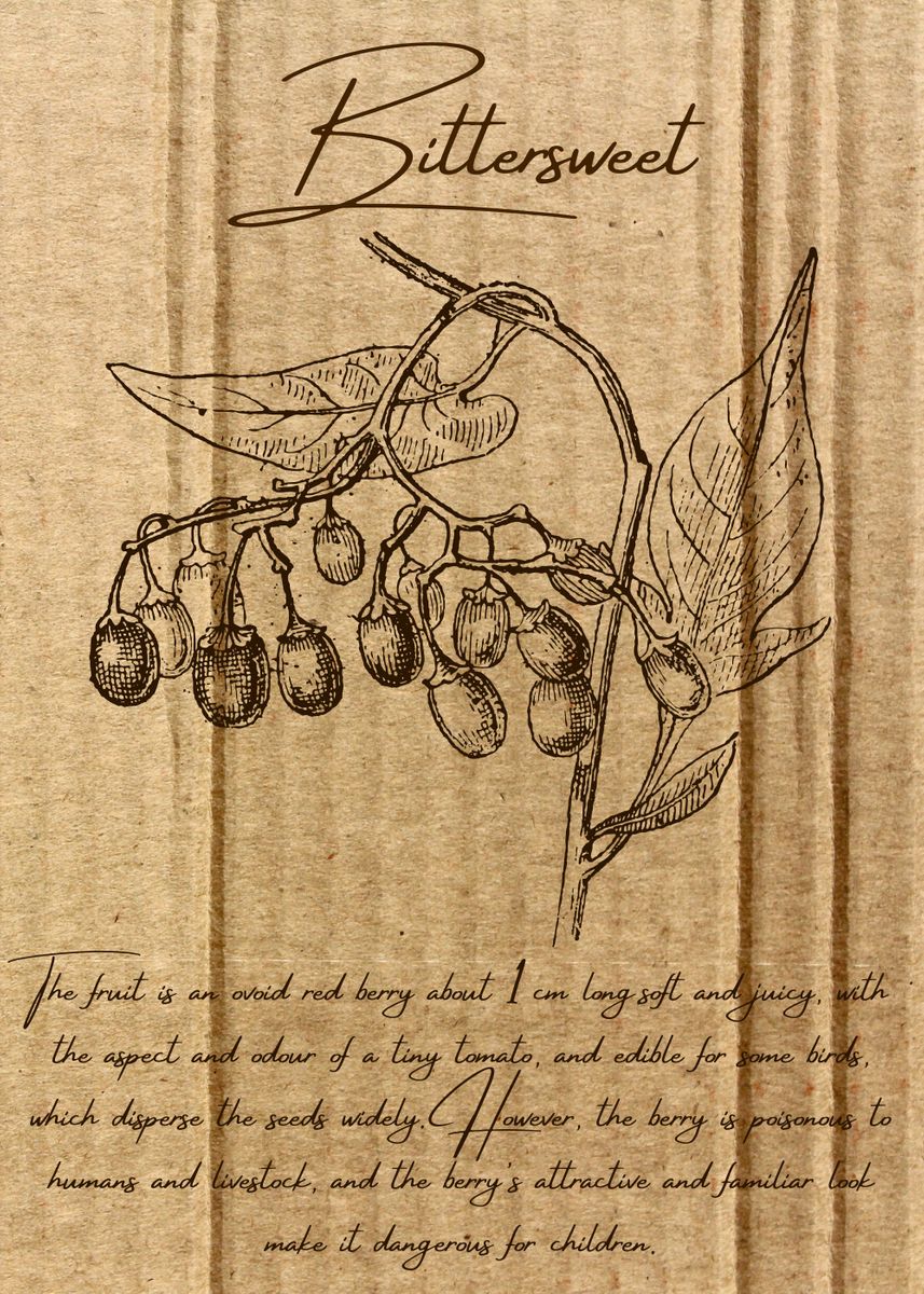 'Bittersweet' Poster, picture, metal print, paint by Artistic Prints ...