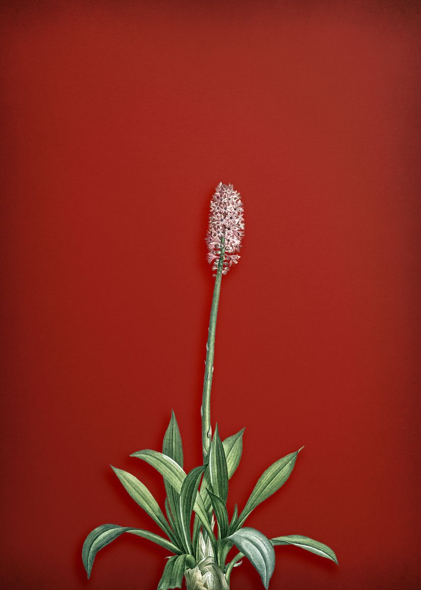 'Swamp Pink on Red' Poster, picture, metal print, paint by Holy Rock ...