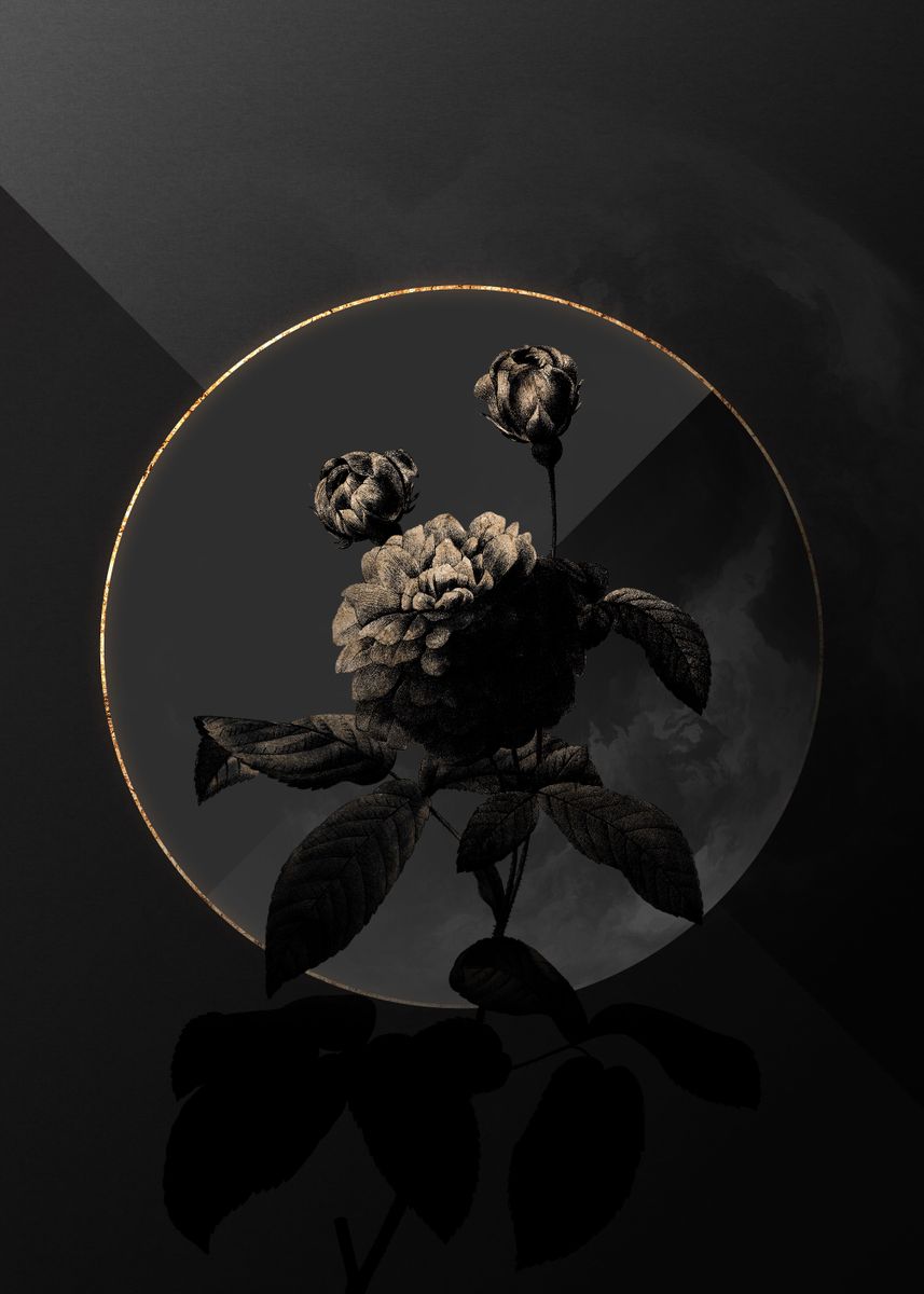 'Shadow Rose Black and Gold' Poster by Holy Rock Design | Displate