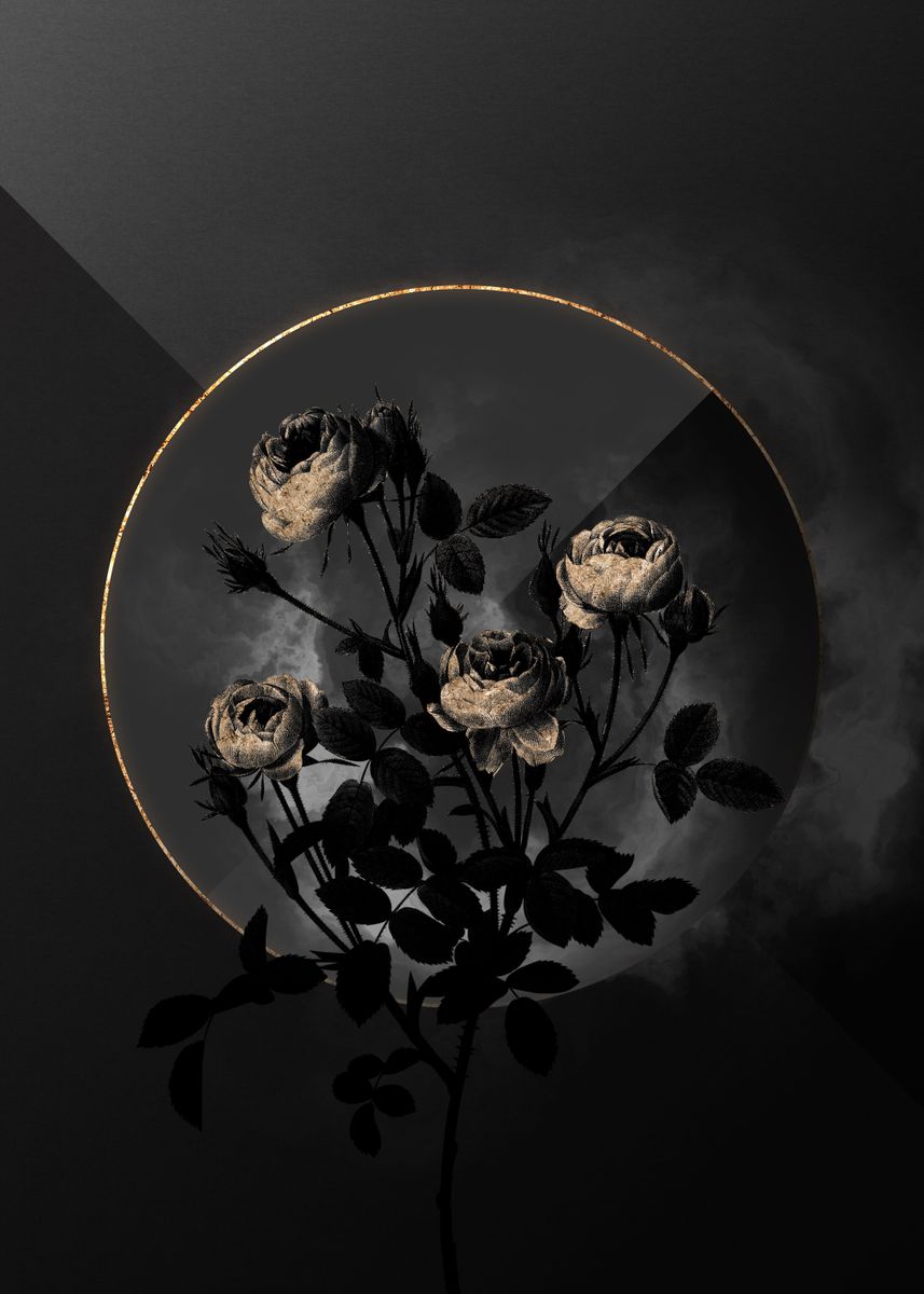 'Shadow Rose Black and Gold' Poster, picture, metal print, paint by ...