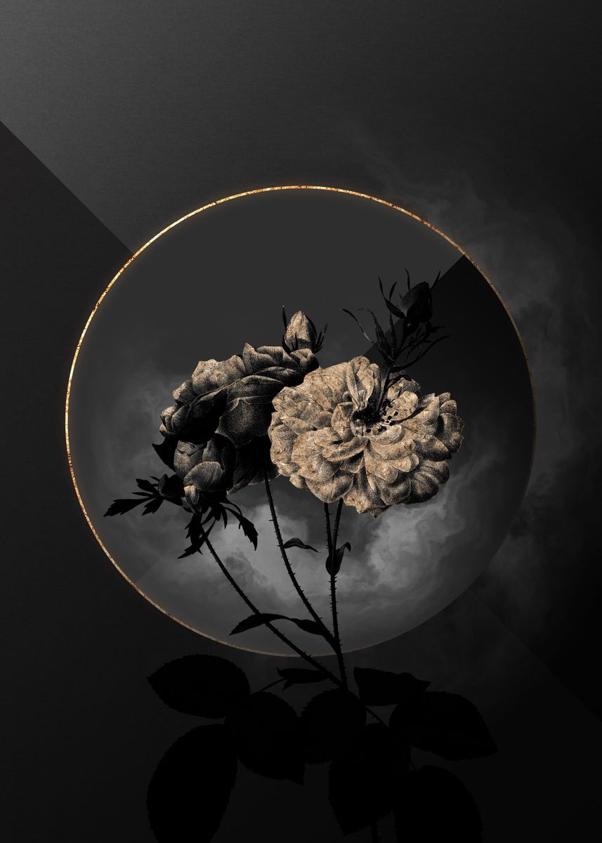 'Shadow Rose Black and Gold' Poster by Holy Rock Design | Displate