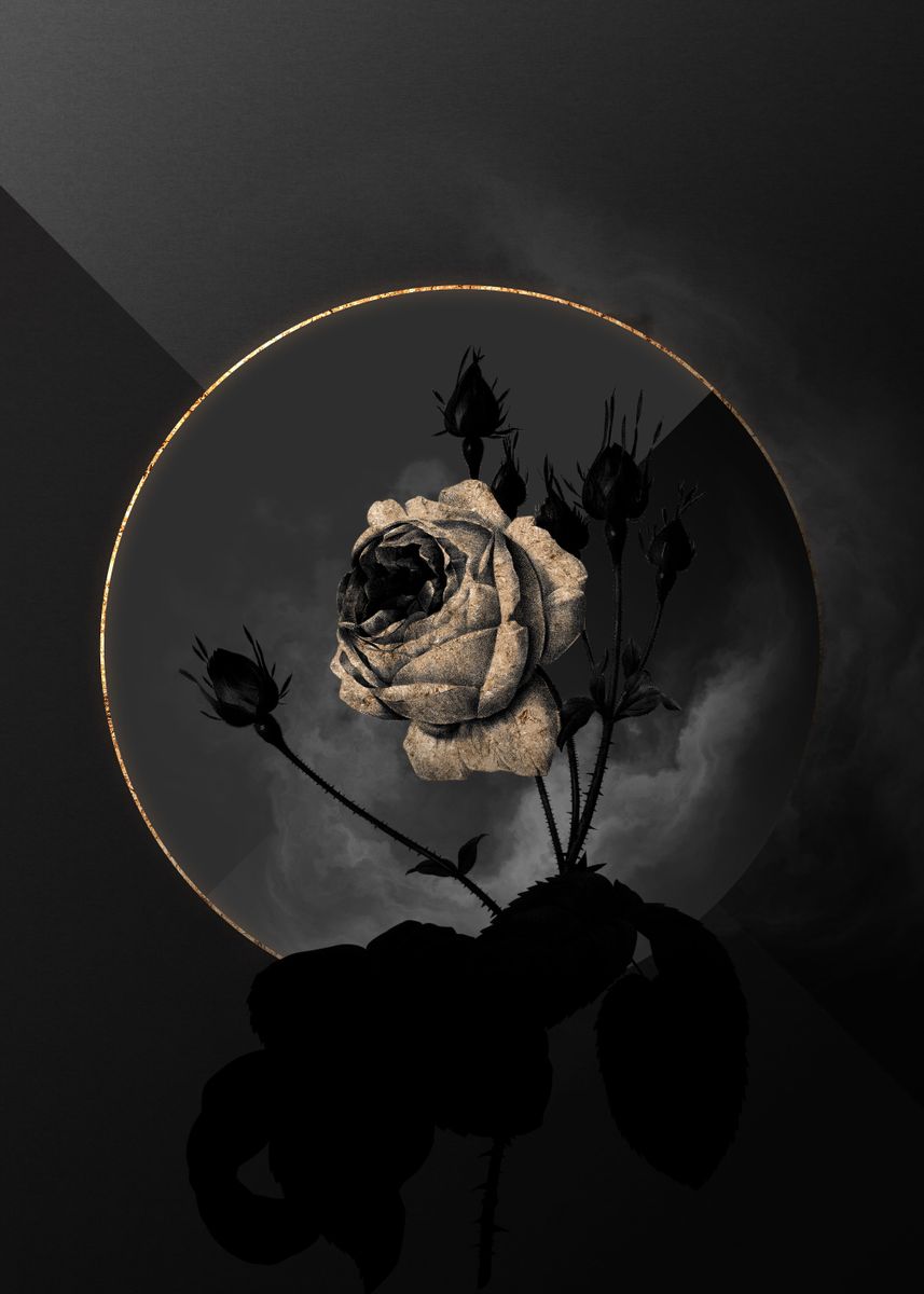 'Shadow Rose Black and Gold' Poster by Holy Rock Design | Displate