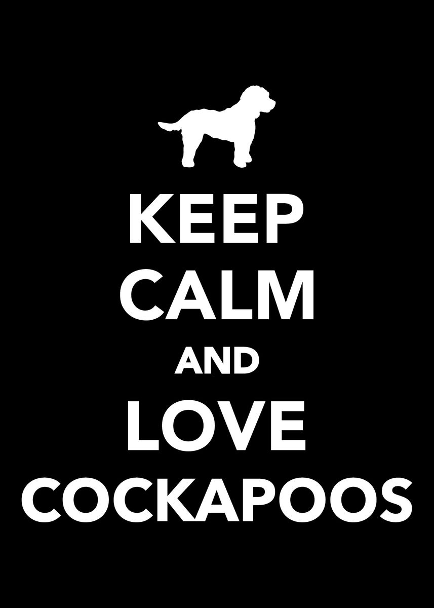 'Cockapoo' Poster, picture, metal print, paint by Designzz | Displate