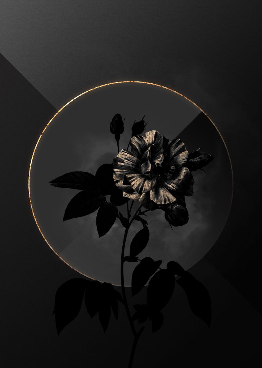 'Shadow Rose Black and Gold' Poster by Holy Rock Design | Displate