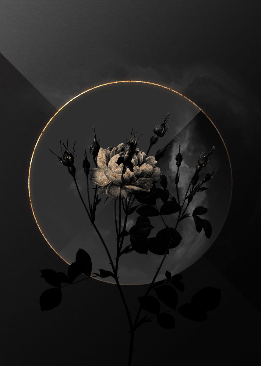 'Shadow Rose Black and Gold' Poster, picture, metal print, paint by ...