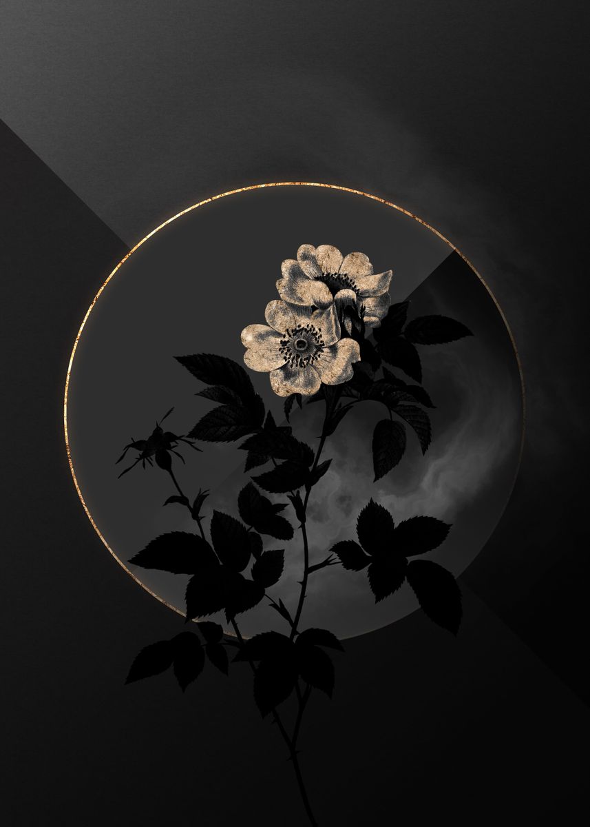 'Shadow Rose Black and Gold' Poster by Holy Rock Design | Displate