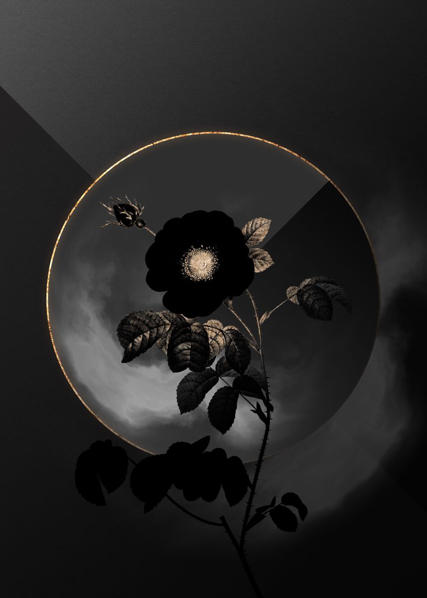 'Shadow Rose Black and Gold' Poster by Holy Rock Design | Displate